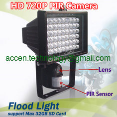 China Flood Light Security PIR DVR Camera IR LED Night Vision CCTV Surveillance DVR W/ 54pcs LED supplier